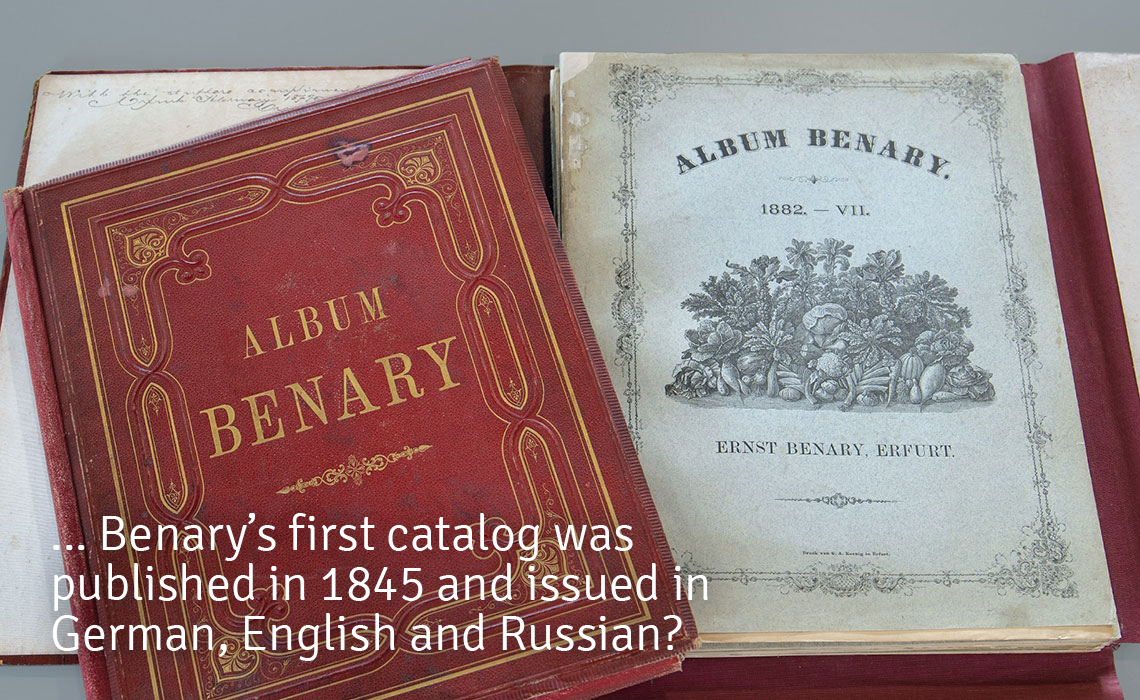 History | Benary